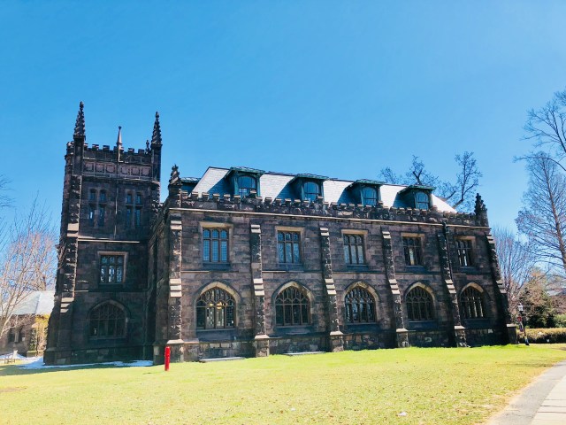 Princeton Architecture | Nora D'Ecclesis.com
